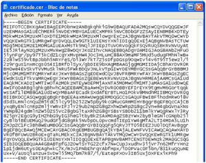 FACE – ¿Cómo obtener el PEM de un certificado? | IMAS "Online"